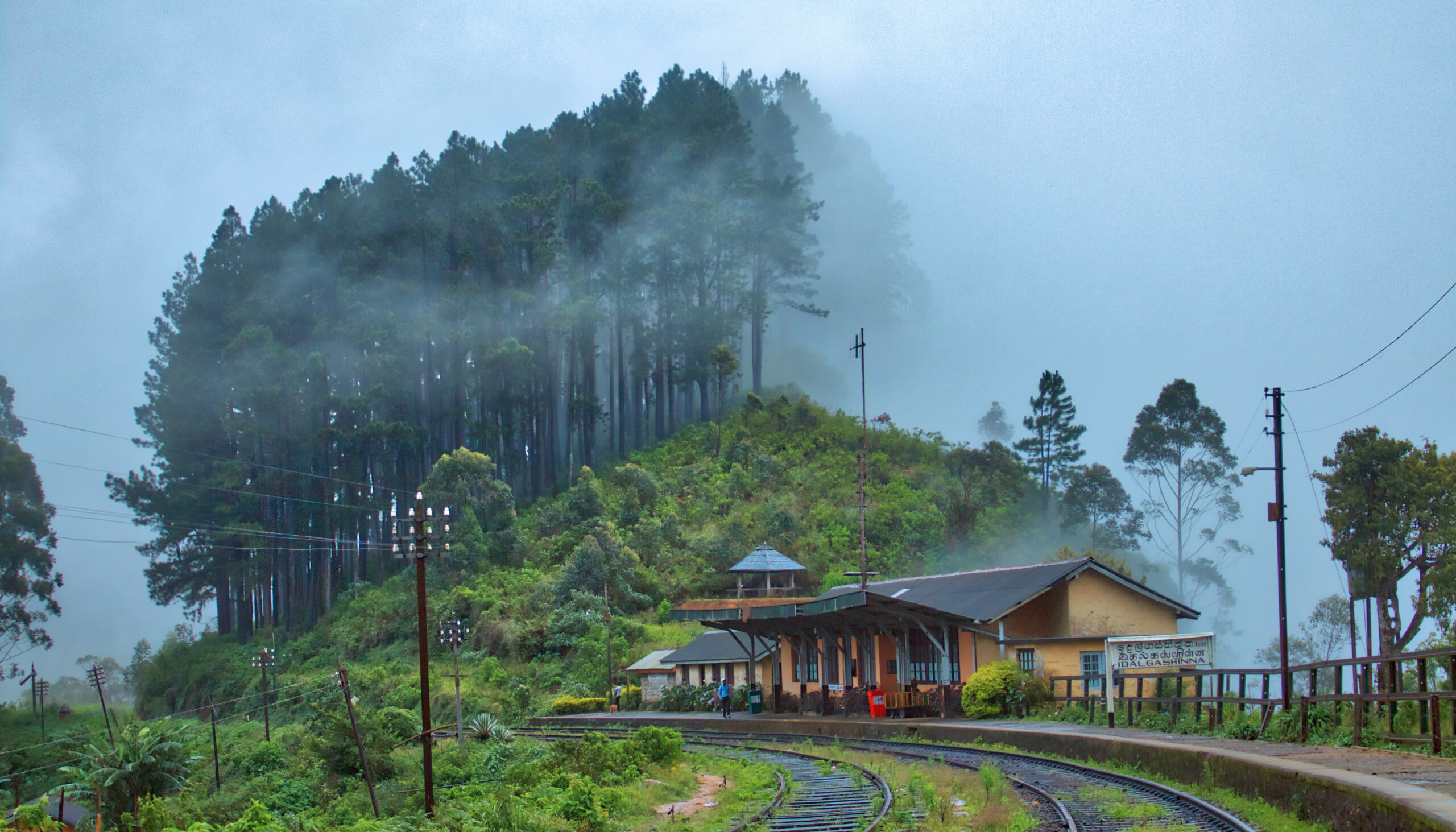 Ella: Mountain Paradise for Adventure Seekers - Go ahead lanka tours